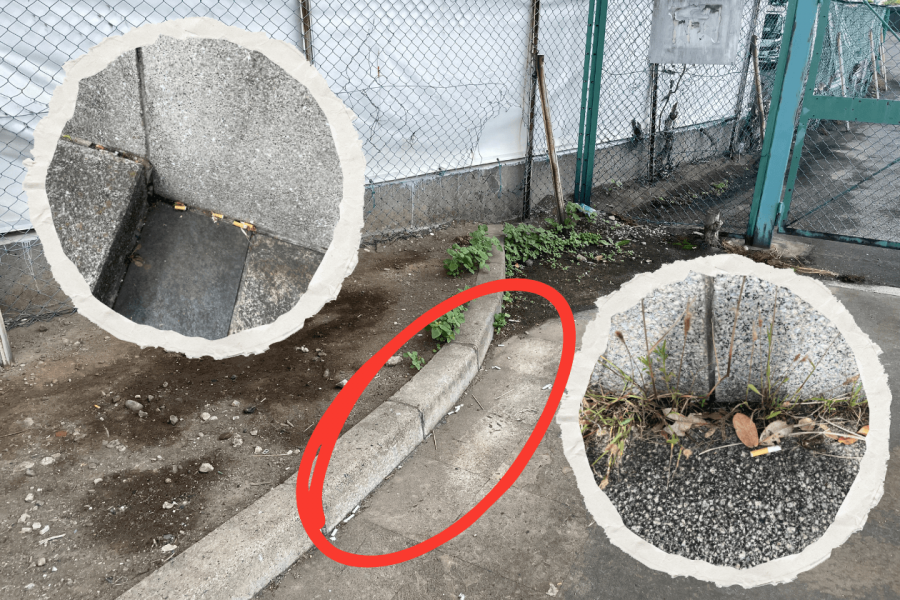 5月30日は「ごみゼロの日」！少しずつ、でも確実に。私たちにできることを紹介