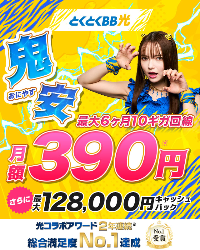 2025年2月最新！GMOとくとくBB光(GMO光アクセス)のキャンペーン・キャッシュバック特典を解説 | 株式会社EXIDEA